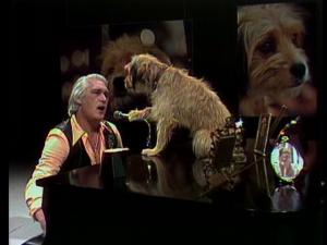 ‘Benji’ (1974): Scrappy indie holds up just fine today – Movies & Drinks