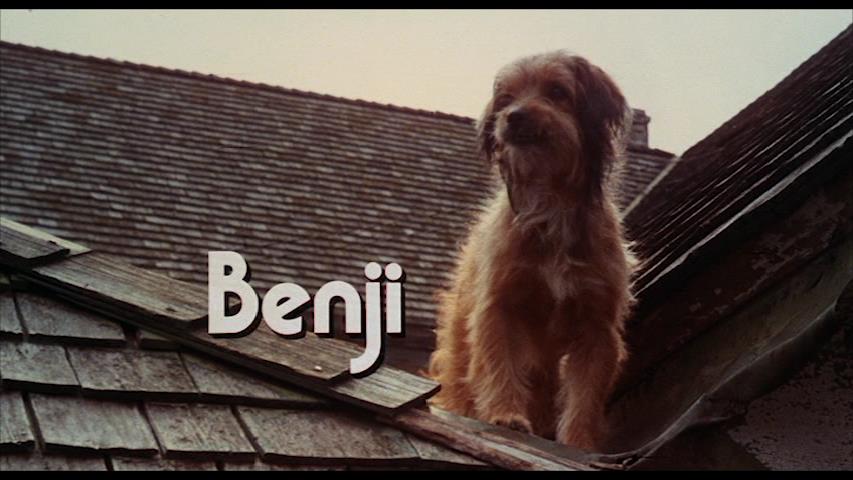 ‘Benji’ (1974): Scrappy indie holds up just fine today – Movies & Drinks