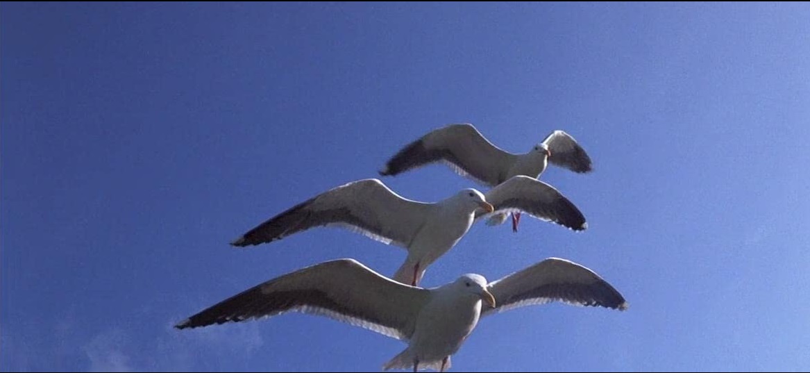 ‘Jonathan Livingston Seagull’ (1973): Spectacular-looking movie, but is ...