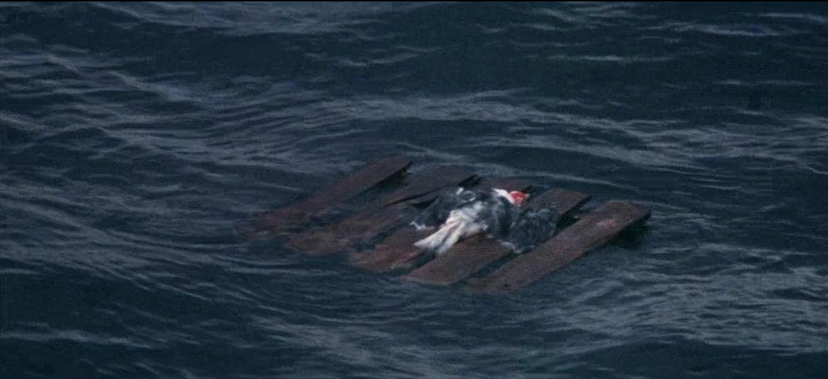 ‘Jonathan Livingston Seagull’ (1973): Spectacular-looking movie, but is ...