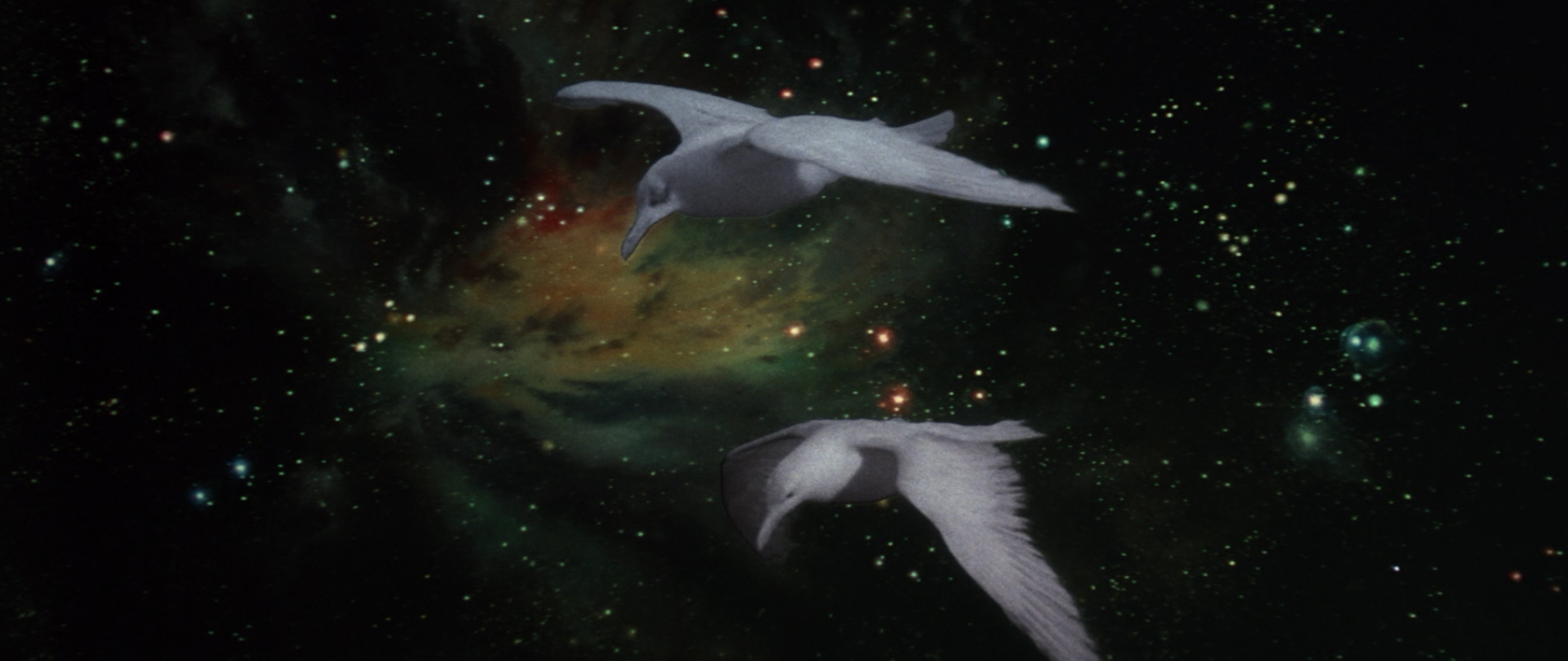 ‘Jonathan Livingston Seagull’ (1973): Spectacular-looking movie, but is ...