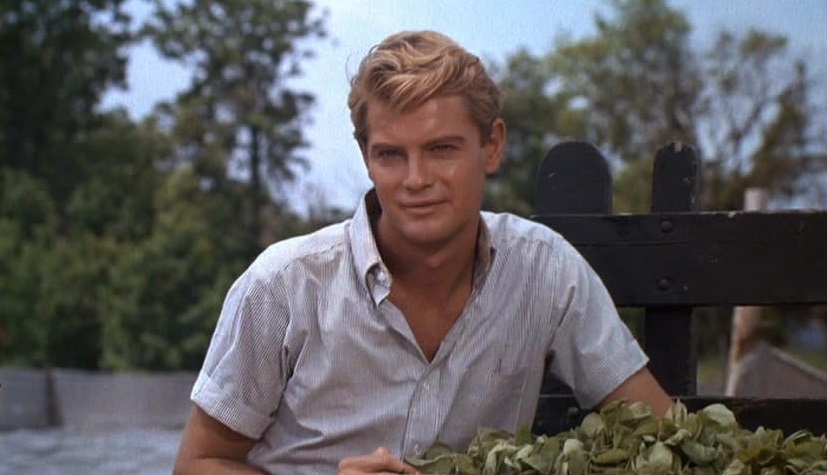 ‘The Warner Bros. Romance Classics Collection’: Troy Donahue mingles with the ladies in four ...