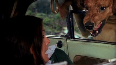 ‘The Pack’ (1977): Hungry, bloodthirsty pets do not appreciate being ...